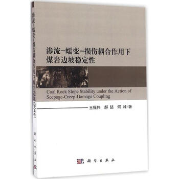 渗流-蠕变-损伤耦合作用下煤岩边坡稳定性
