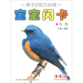 小小孩·亲子记忆力训练：宝宝闪卡（鸟类）