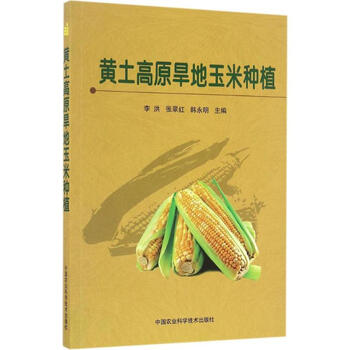黄土高原旱地玉米种植