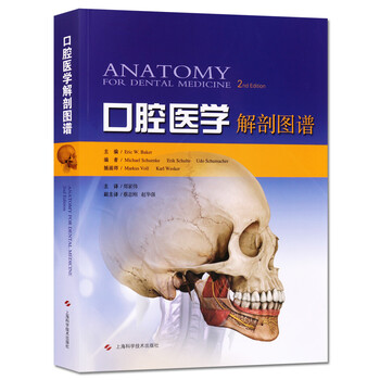口腔医学解剖图谱 医学书籍 正版