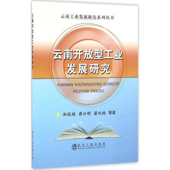 云南开放型工业发展研究