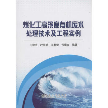 煤化工高浓度有机废水处理技术及工程实例