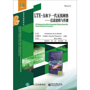 LTE-A和下一代无线网络：信道建模与传播