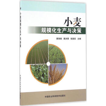 小麦规模化生产与决策
