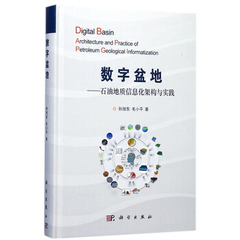 数字盆地--石油地质信息化架构与实践(精)