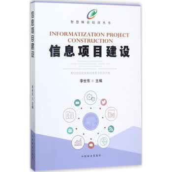 信息项目建设