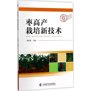 枣高产栽培新技术