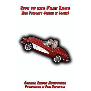 Life in the Fast Lane: Two Tom Cats Strike i...