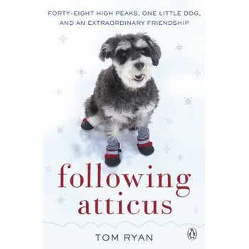 Following Atticus: How a little dog led one ...