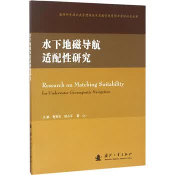水下地磁导航适配性研究
