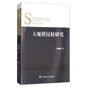 大规模侵权研究