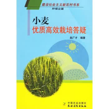 小麦优质高效栽培答疑