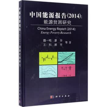 中国能源报告(2014)
