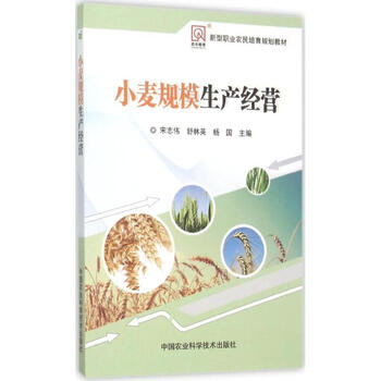 小麦规模生产经营