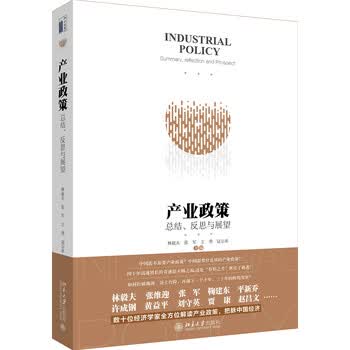 [正版图书]产业政策 总结、反思与展望