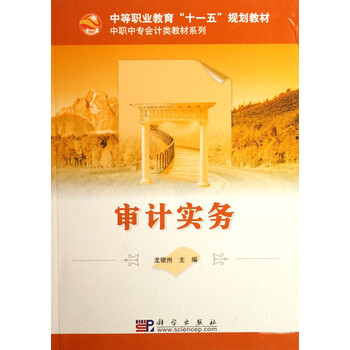 审计实务