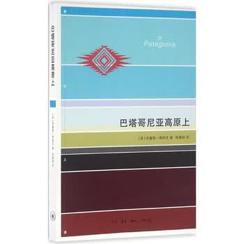 巴塔哥尼亚高原上
