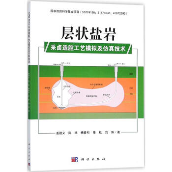 层状盐岩采卤造腔工艺模拟及仿真技术