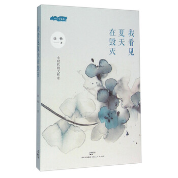 我看见夏天在毁灭