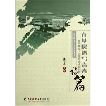 在基层谱写青春诗篇