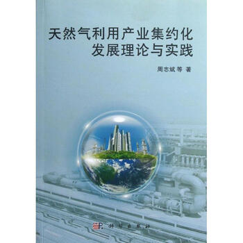 天然气利用产业集约化发展理论与实践