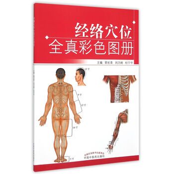 经络穴位全真彩色图册