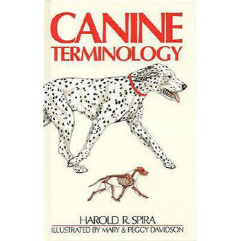Canine Terminology