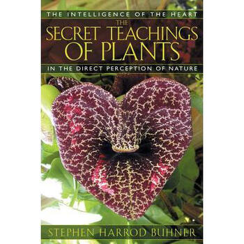 The Secret Teachings of Plants: The Intellig...