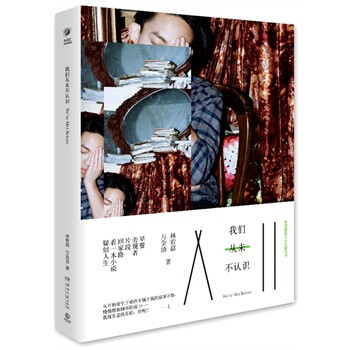 我们从未不认识：林宥嘉音乐小说概念书(迷幻王子林宥嘉首部文字作品)
