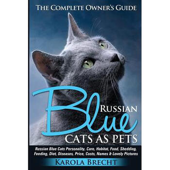 Russian Blue Cats as Pets. Personality, Care...