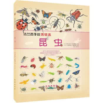昆虫