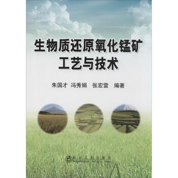 生物质还原氧化锰矿工艺与技术