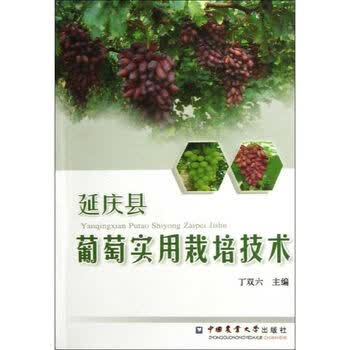 延庆县葡萄实用栽培技术