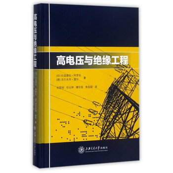 高电压与绝缘工程(精)