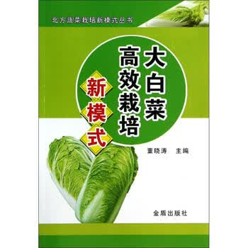 大白菜高效栽培新模式