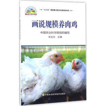 画说规模养肉鸡