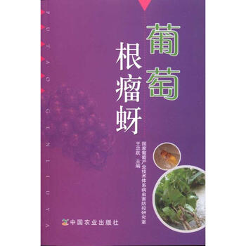 葡萄根瘤蚜
