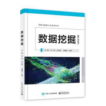 数据挖掘——高级大数据人才培养丛书