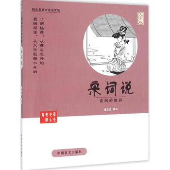 宋词说(大字版)