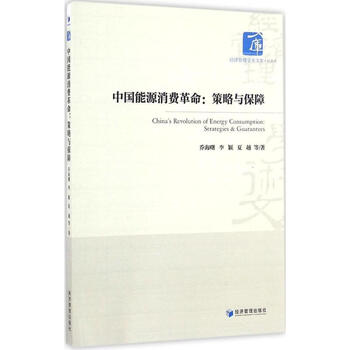 中国能源消费革命