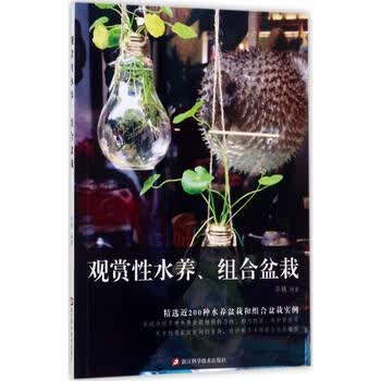 观赏性水养、组合盆栽