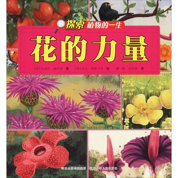 花的力量 幼儿图书 早教书 故事书 儿童书籍