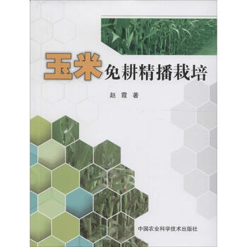 玉米免耕精播栽培