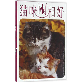 猫咪两相好