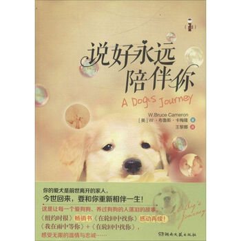 说好永远陪伴你