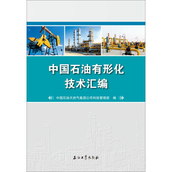 中国石油有形化技术汇编