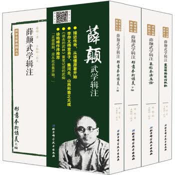 薛颠武学辑注