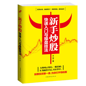 新手炒股快速入门与操盘技法(畅xiao炒股书)