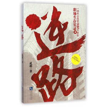 逆路(一部民企高管亲笔写就的职场生存实录)