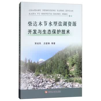 柴达木节水型盐湖资源开发与生态保护技术